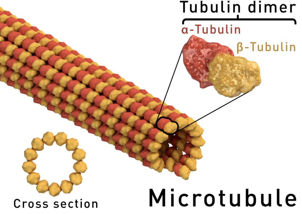 How trifluralin resistance works - Australian Herbicide Resistance ...