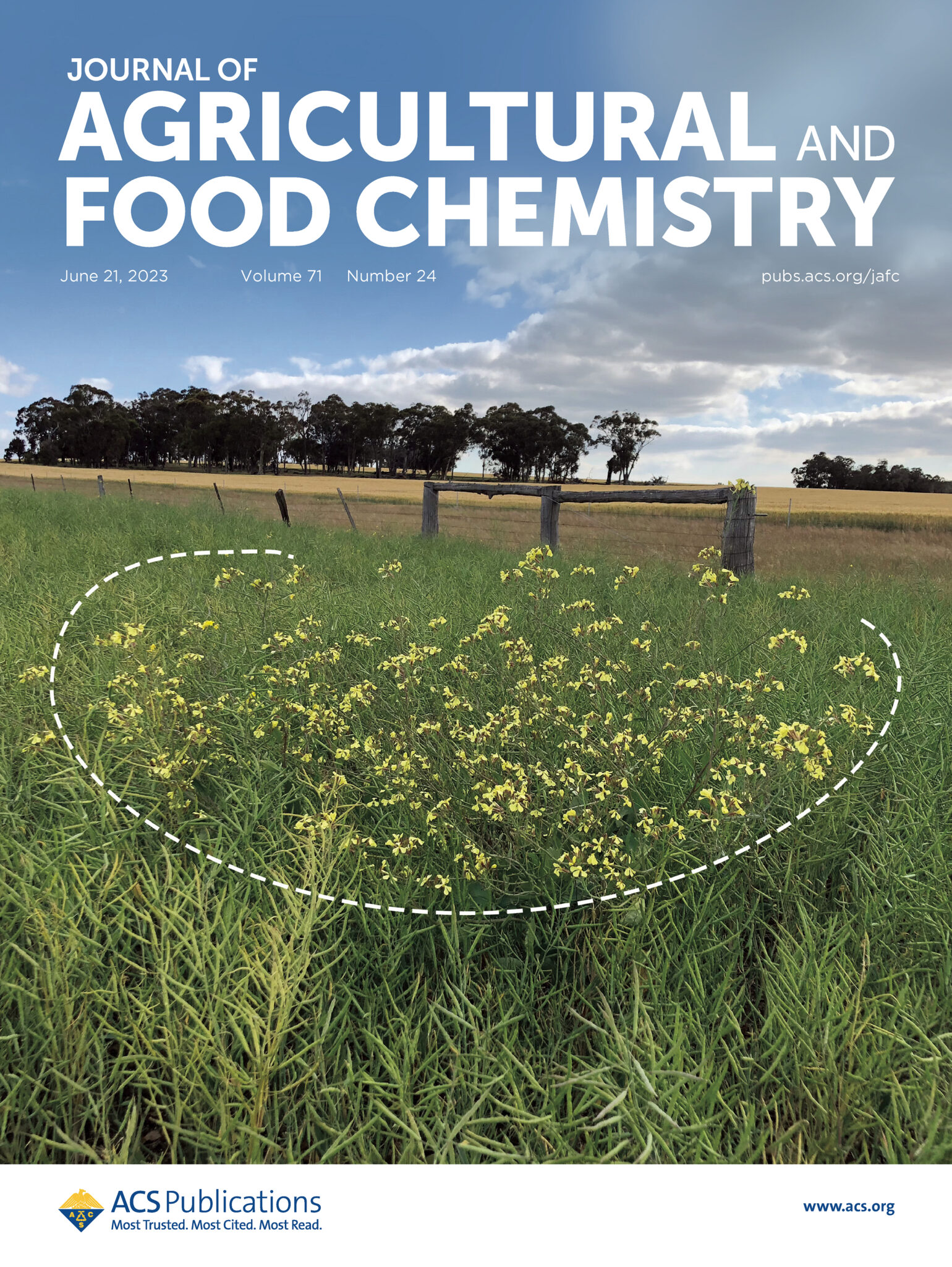 Multiple metabolic enzymes can be involved in cross-resistance to 4 ...