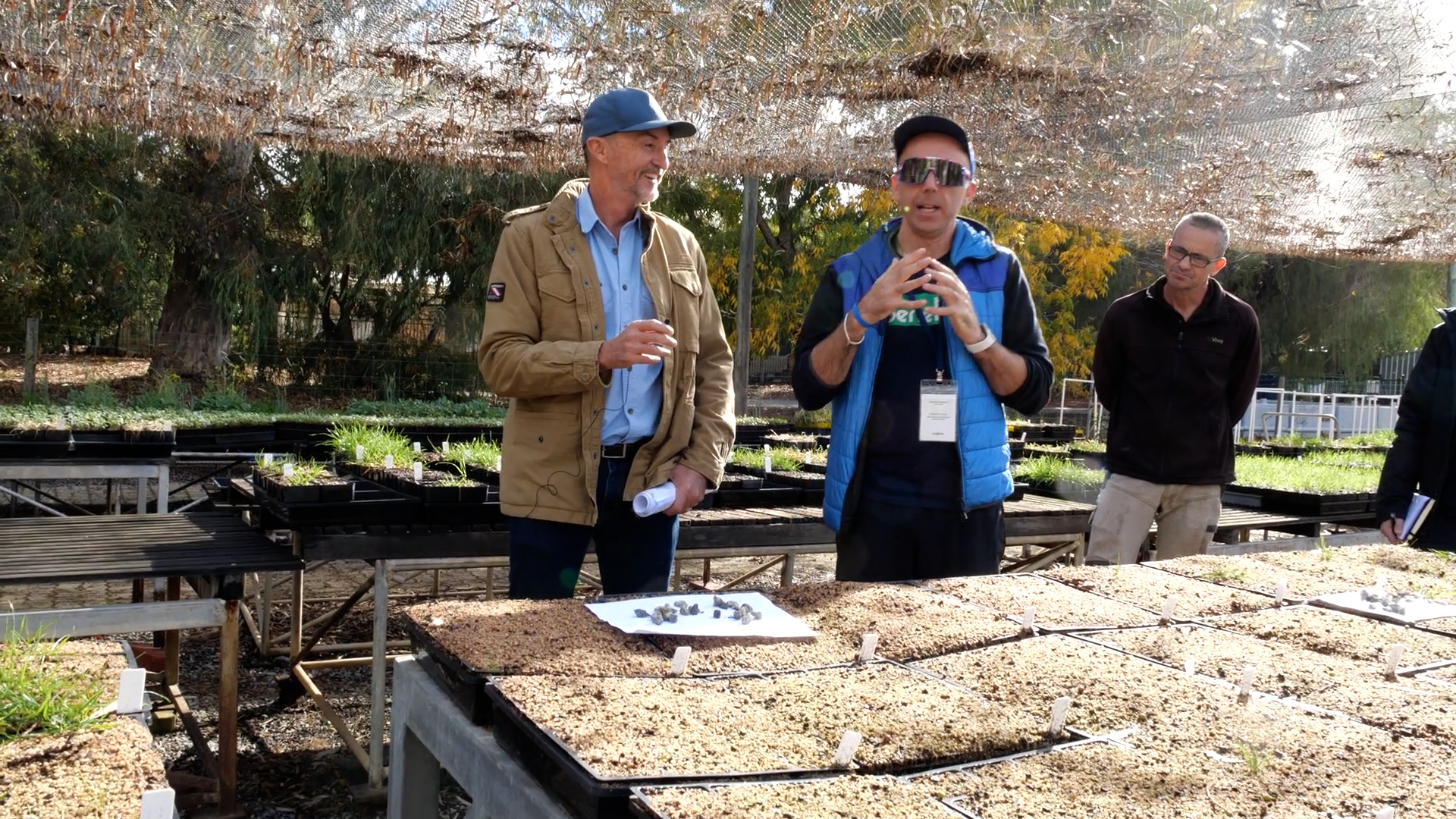 More Velocity® resistant radish – but we can control it with mixes ...